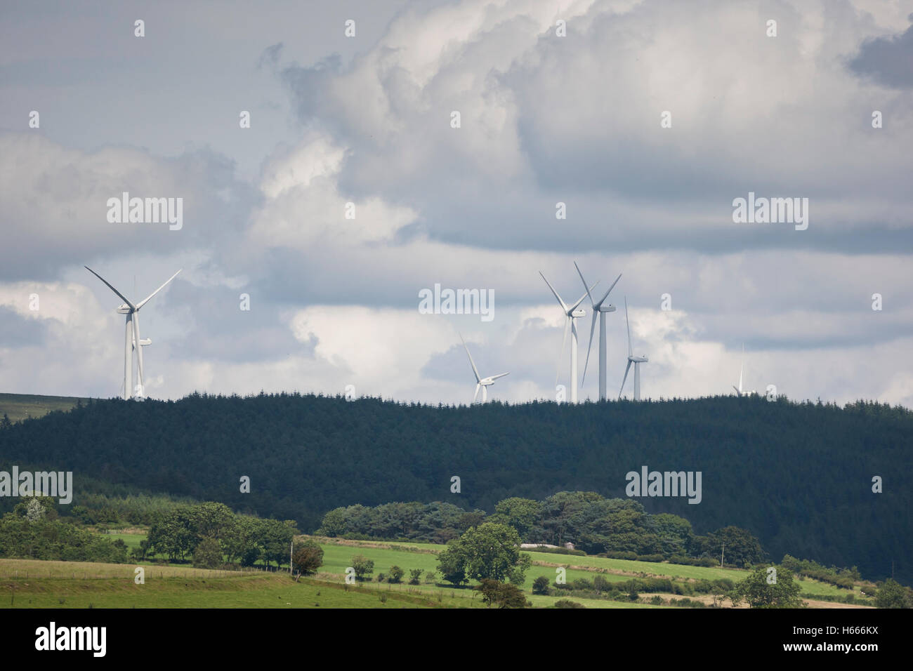 Uk forestry wind turbines hi-res stock photography and images - Alamy