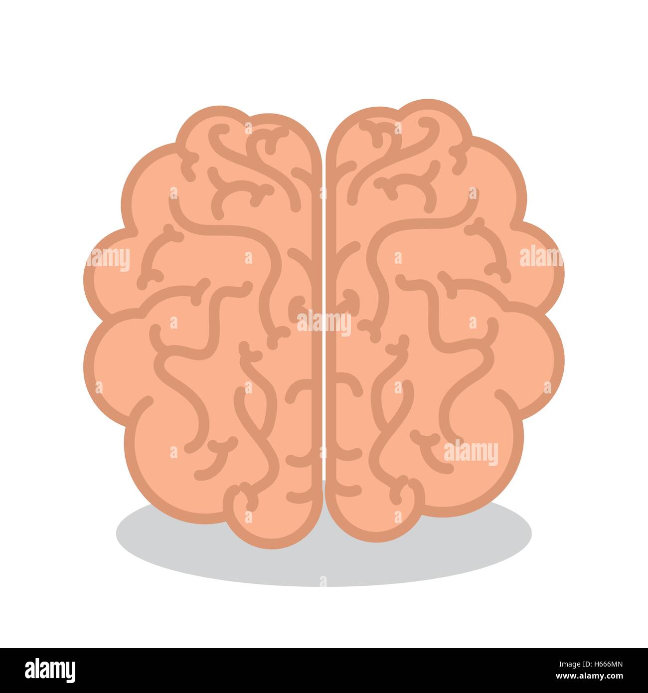 brain human organ isolated icon Stock Vector Image & Art - Alamy