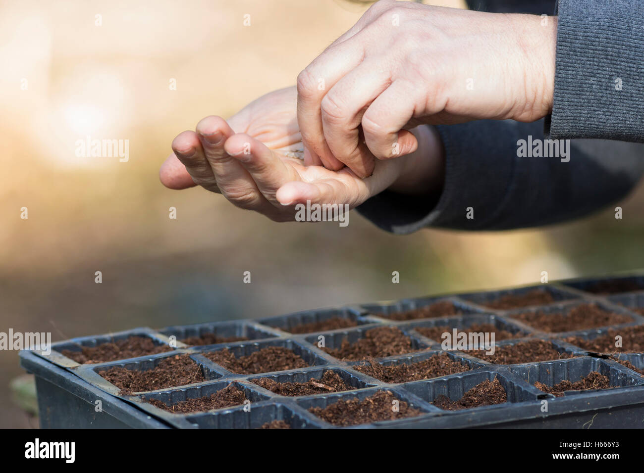 Sowing seed hi-res stock photography and images - Alamy