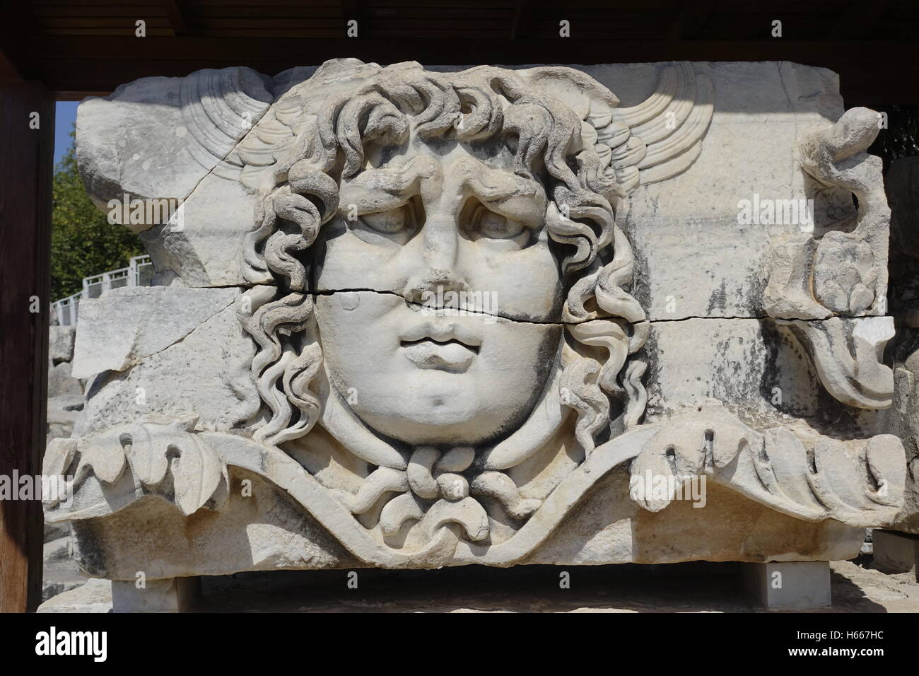 Medusa in the temple of Apollo in Didyma View of Temple of Apollo in ...