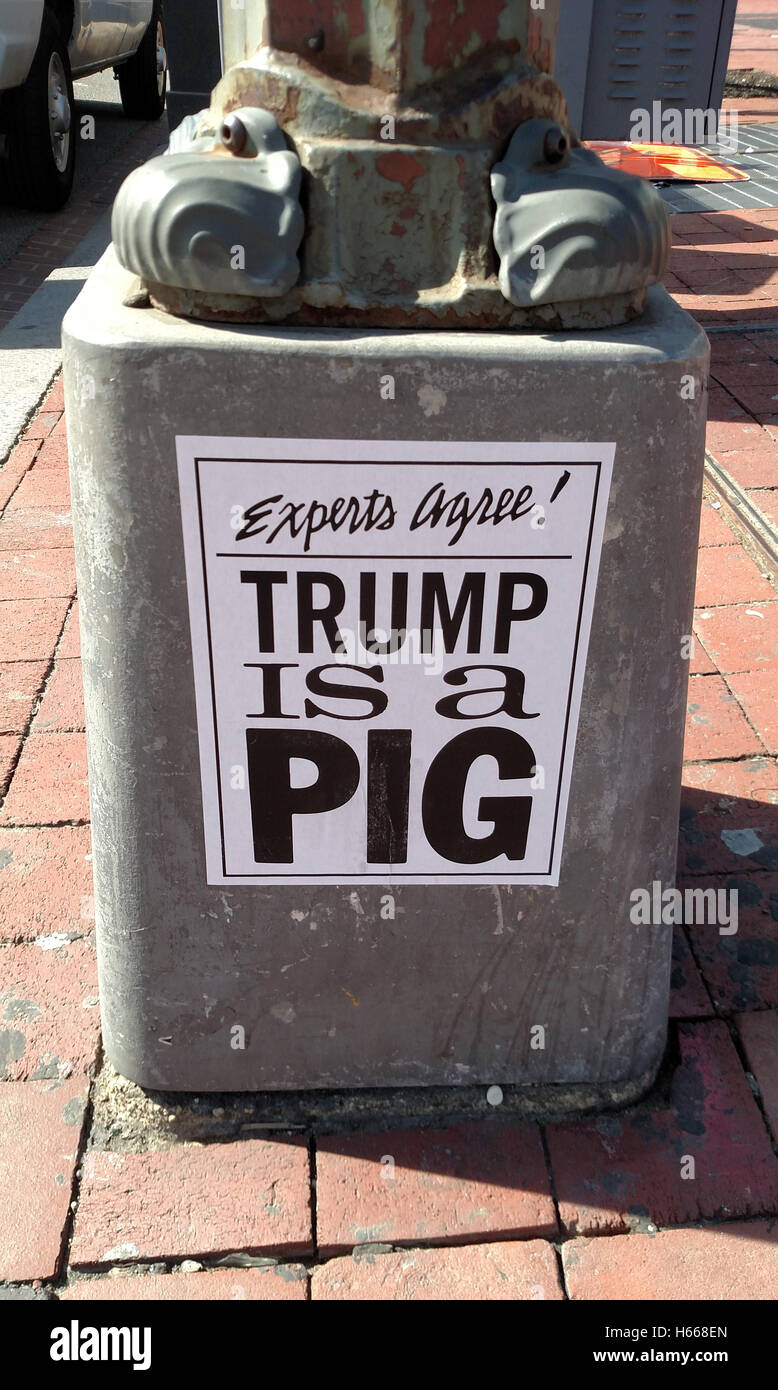 Trump is a pig hi-res stock photography and images - Alamy