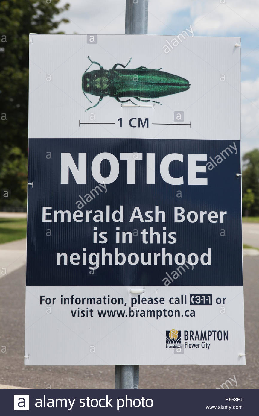 Invasive Species Sign Stock Photos & Invasive Species Sign Stock Images ...