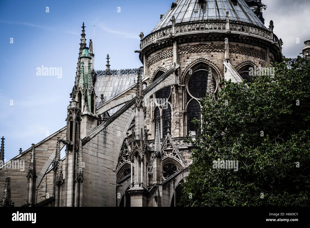 Detail of gothic Cathedral of Notre Dame in Paris Stock Photo - Alamy