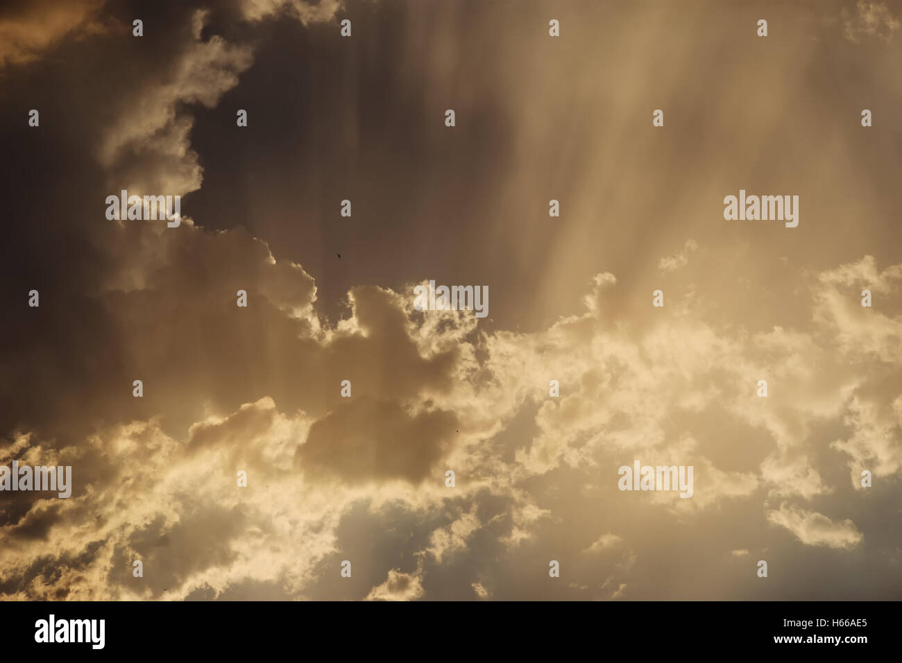 Clouds lit by sun hi-res stock photography and images - Alamy