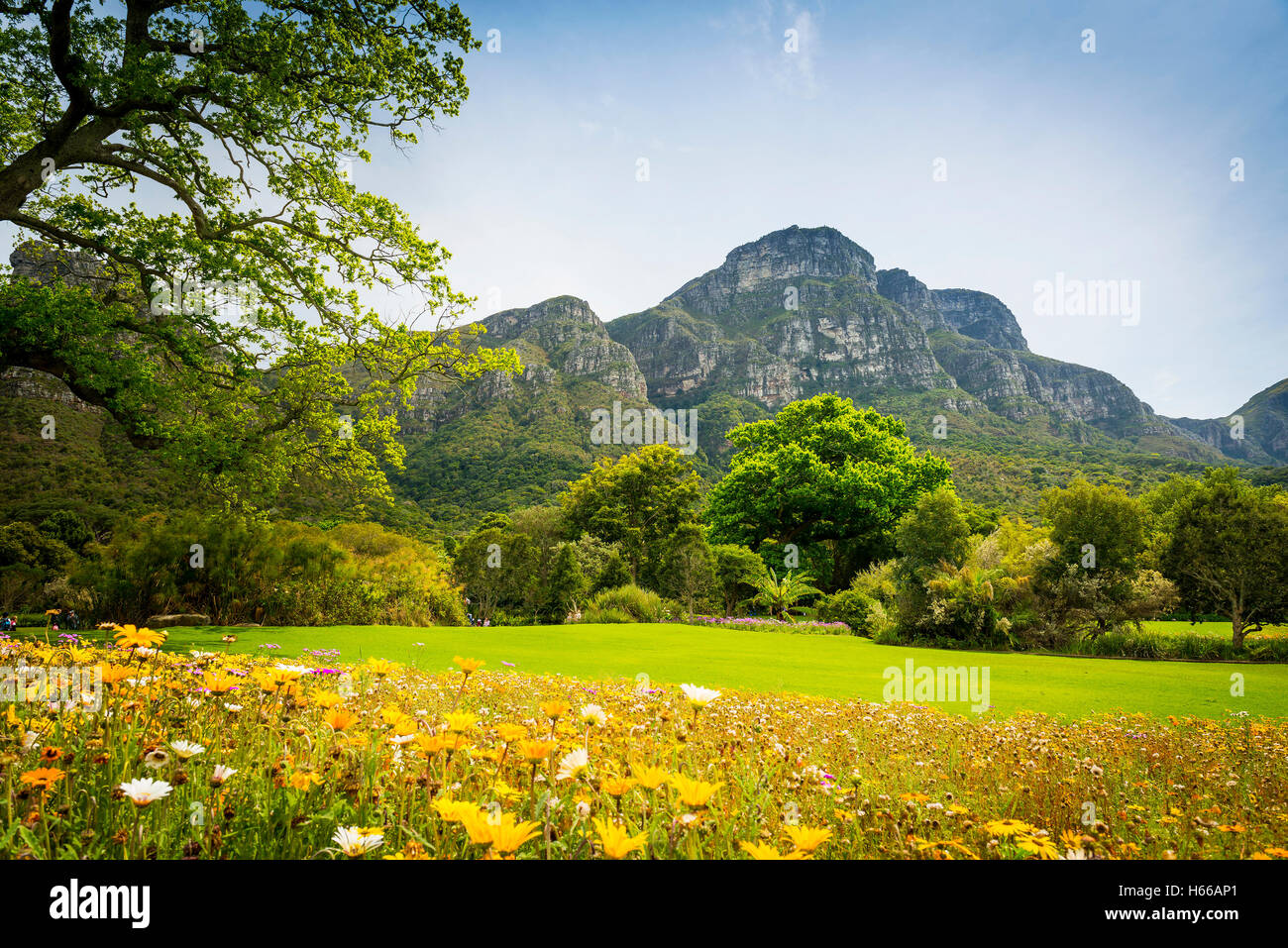 Spring in south africa hi-res stock photography and images - Alamy
