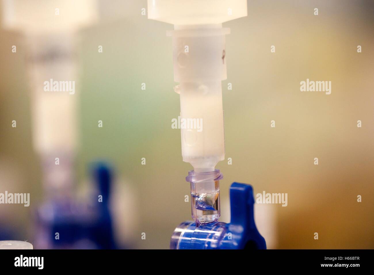 DNA isolation columns attached to vacuum manifold. Columns contain a ...