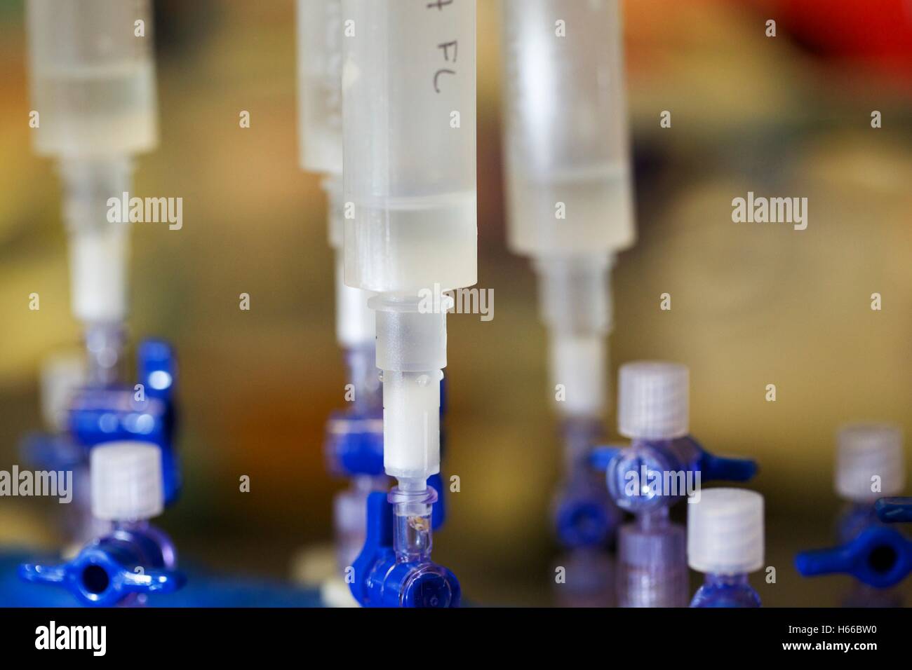 DNA isolation columns attached to vacuum manifold. Columns contain a ...