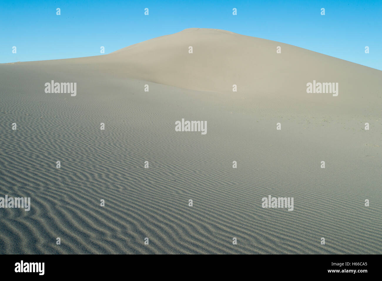 Sand dune in Bruneau Dunes State Park in Owyhee County Idaho Stock ...