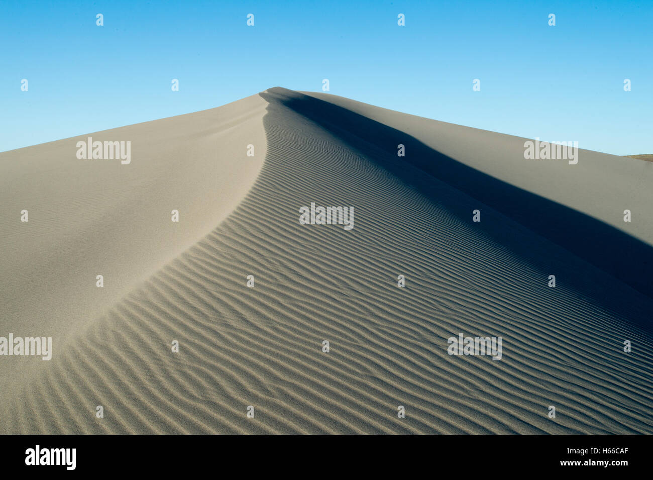 Sand dune in Bruneau Dunes State Park in Owyhee County Idaho Stock ...