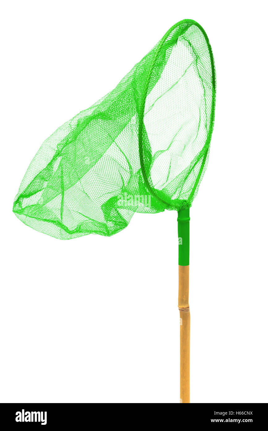 green butterfly net on a white background Stock Photo - Alamy