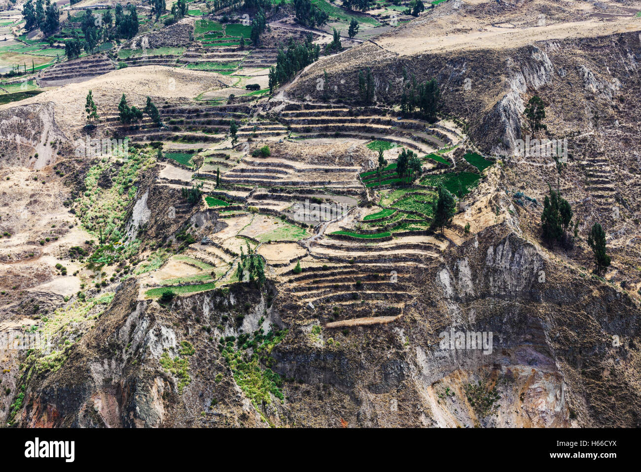 Andes mountain crops hi-res stock photography and images - Alamy