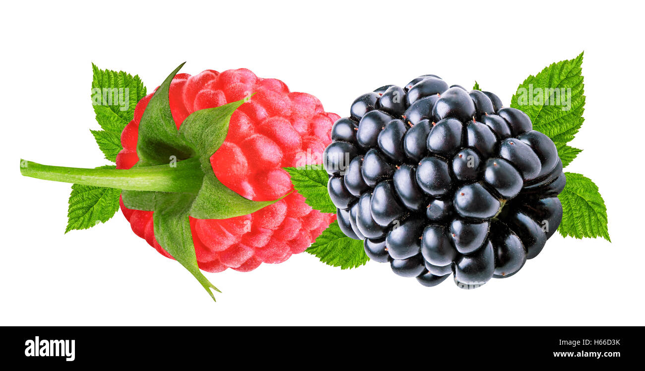 Blackberry and raspberries isolated on white background Stock Photo - Alamy