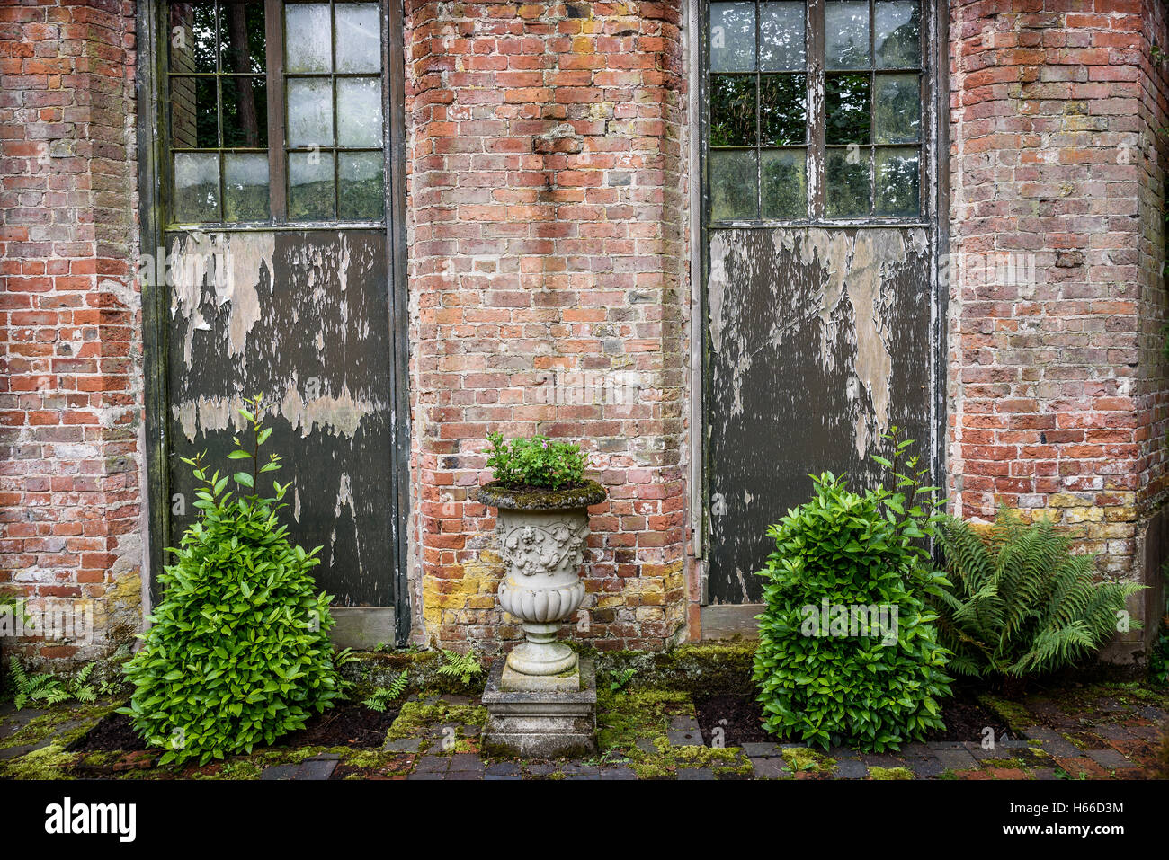 An old, abandoned patio garden Stock Photo - Alamy