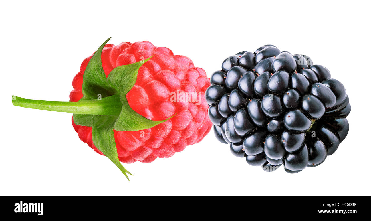 Blackberry and raspberries isolated on white background Stock Photo - Alamy