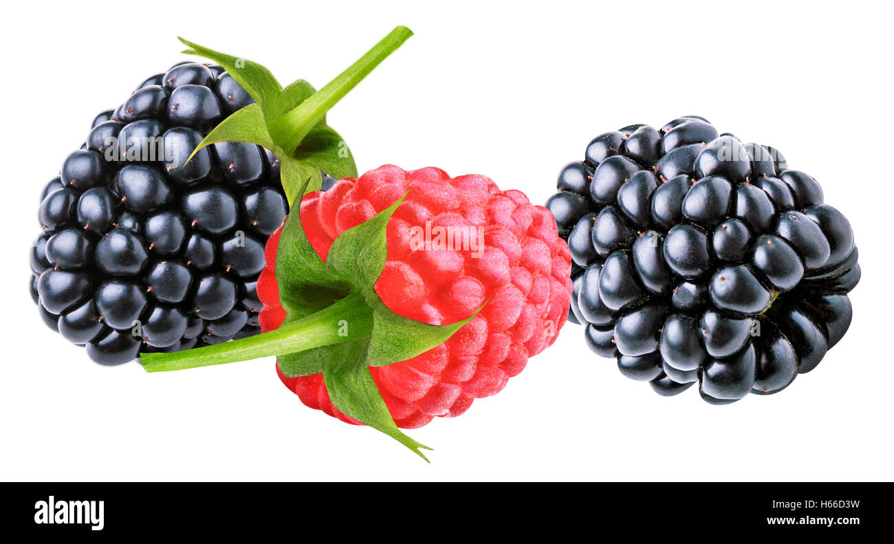 Blackberry and raspberries isolated on white background Stock Photo - Alamy