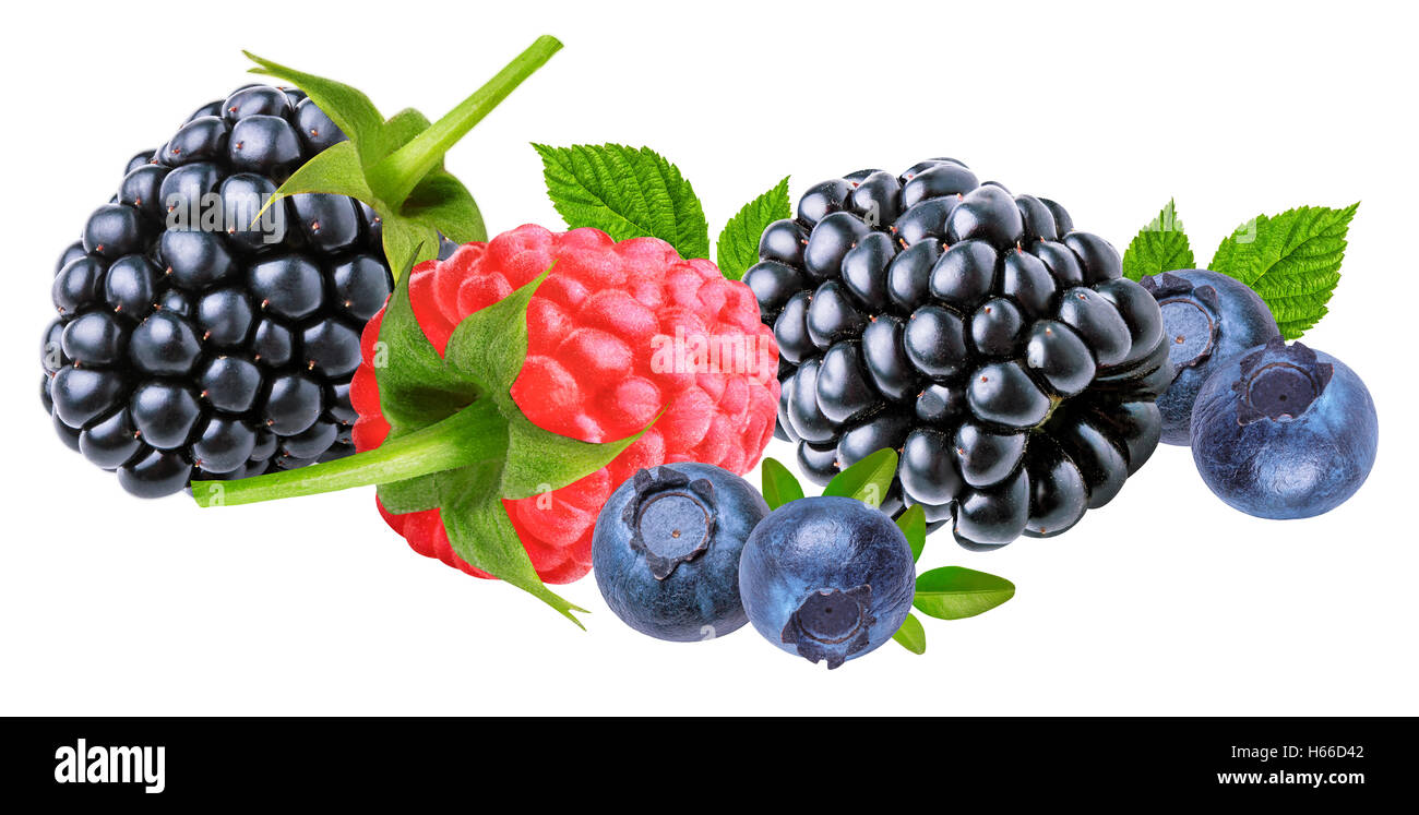 Blackberry, raspberry, blueberry and leaves isolated on white ...