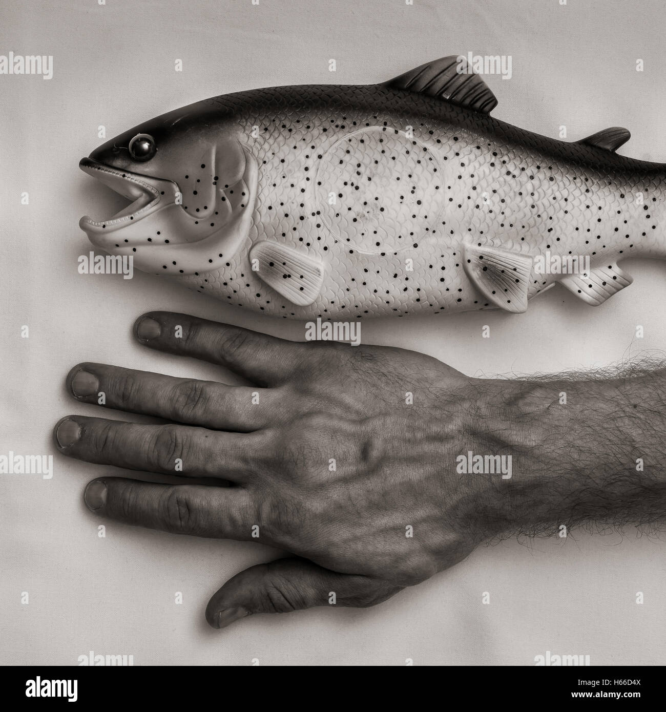 A photograph of veiny male hand and a rubber trout Stock Photo - Alamy