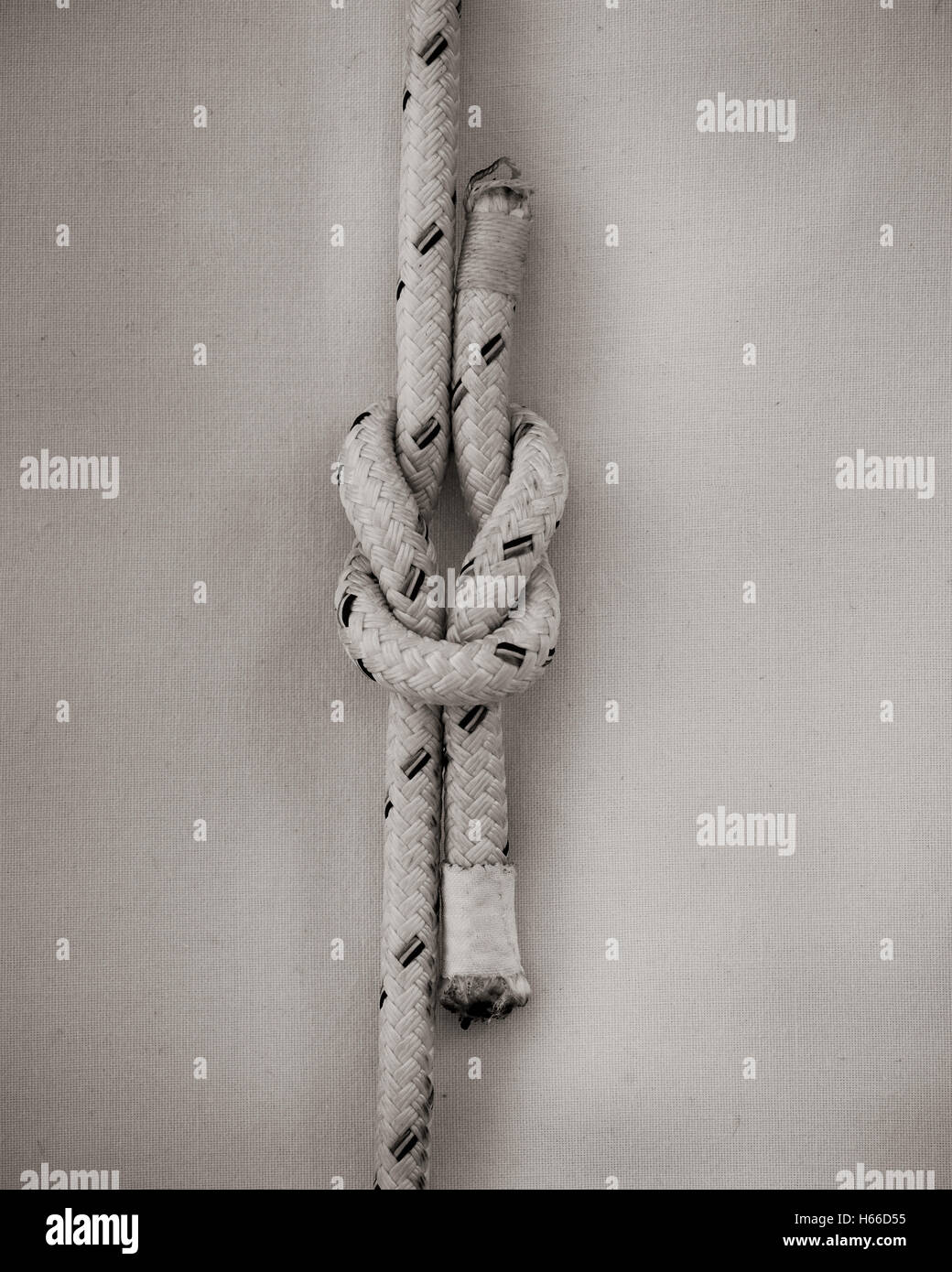 A Reef Knot Stock Photo - Alamy