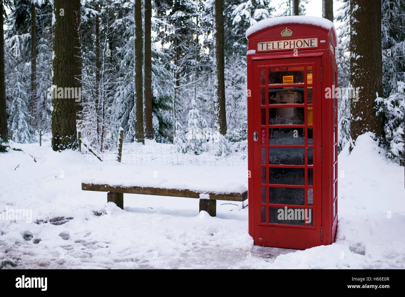 An old british red telephone box stands alone in a snowy landscape ...