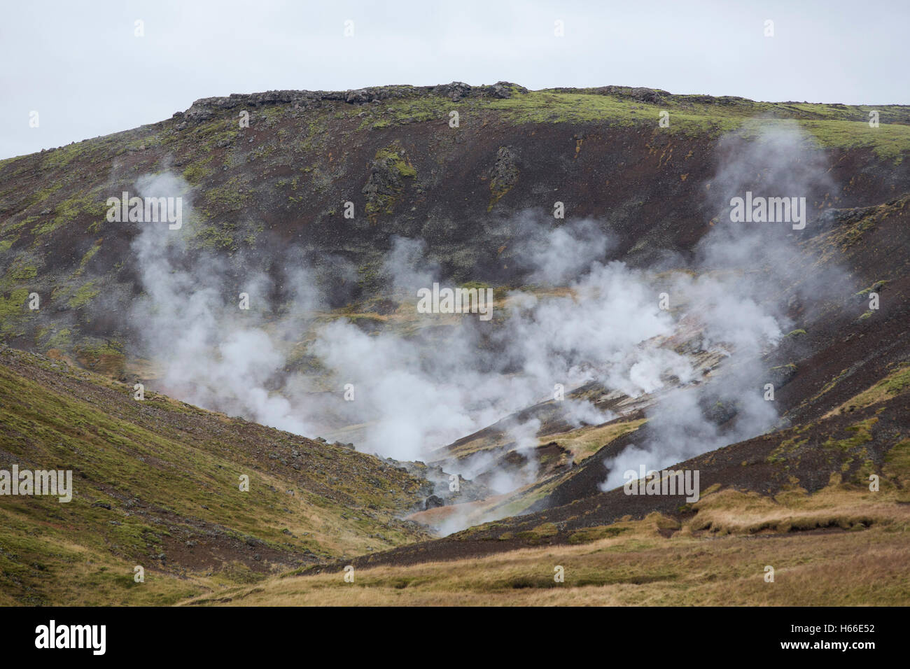 Steam from geothermally heated water rises from the hills at the ...