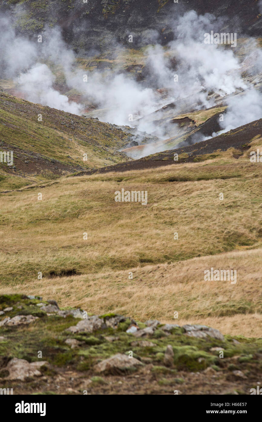 Steam from geothermally heated water rises from the hills at the ...