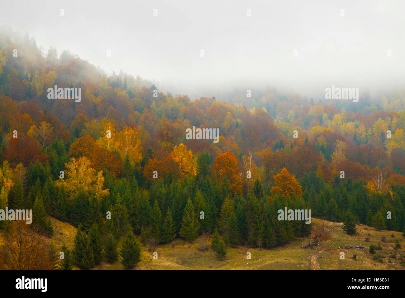 Beautiful dramatic scenic countryside hi-res stock photography and ...