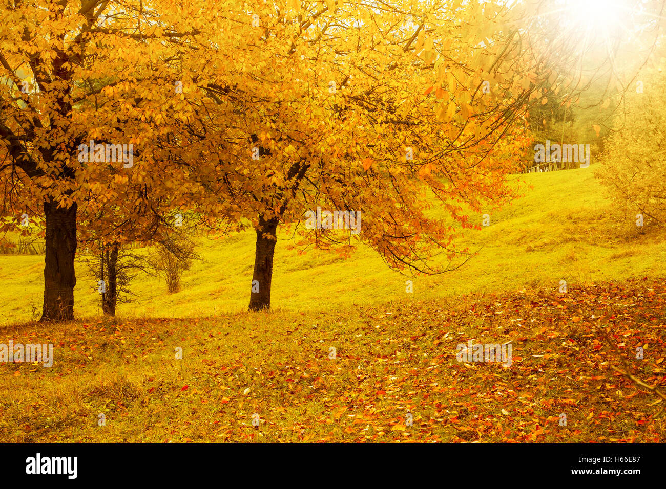 Scenic vibrant autumn countryside landscape in the warm fall sun light ...