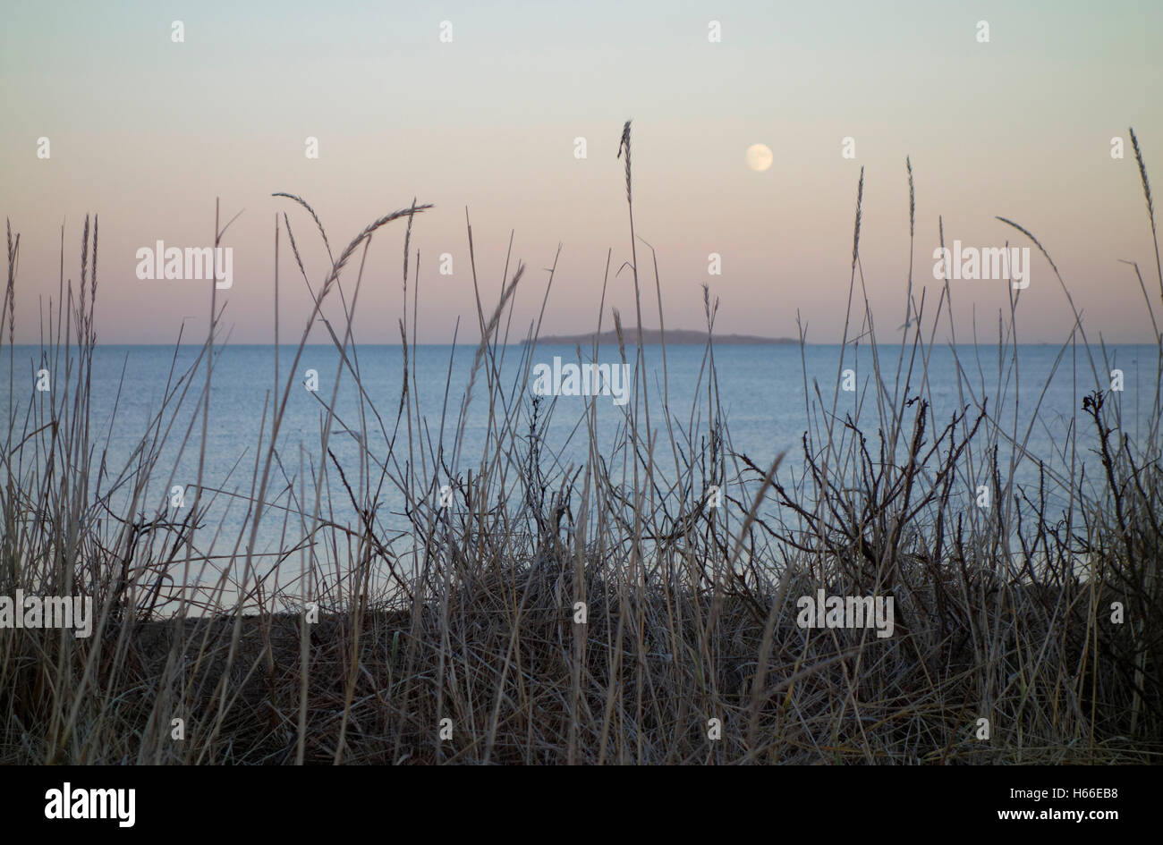 Moonrise over beach hi-res stock photography and images - Alamy