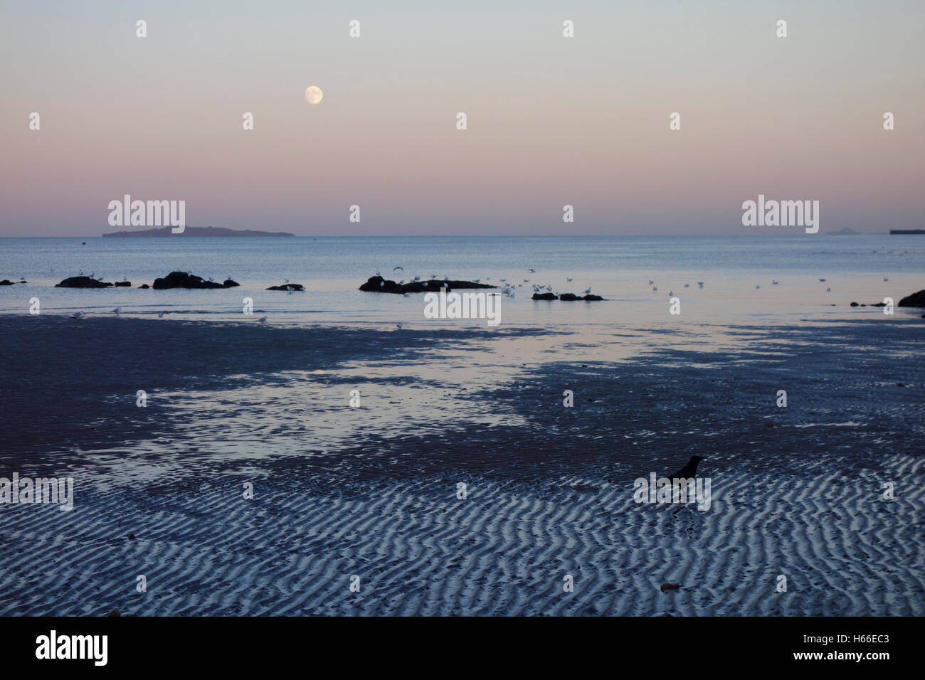 Inchkeith hi-res stock photography and images - Alamy