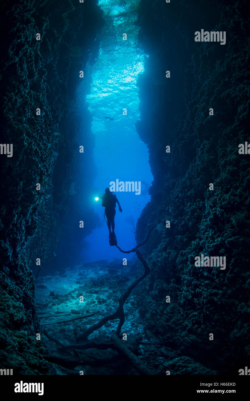 Scuba diver enters underwater cave system Stock Photo - Alamy