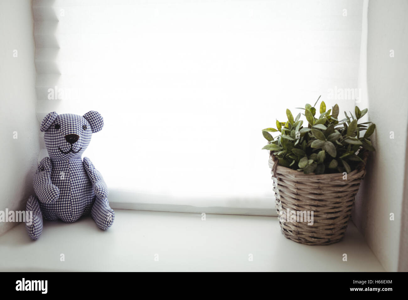 Toy and pot plant Stock Photo - Alamy
