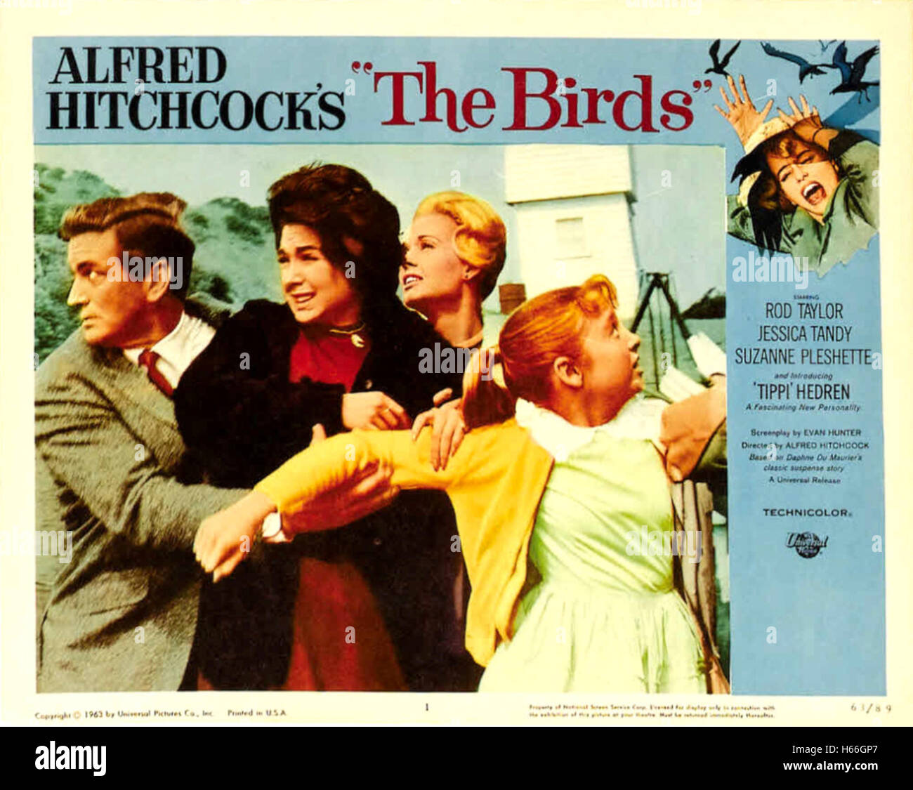 The birds movie poster hi-res stock photography and images - Alamy