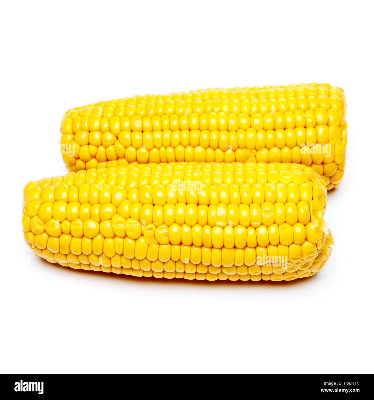 An ear of corn isolated on a white background Stock Photo - Alamy