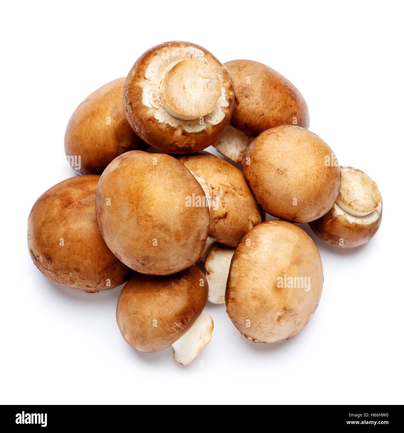 champignon mushroom isolated on white Stock Photo - Alamy