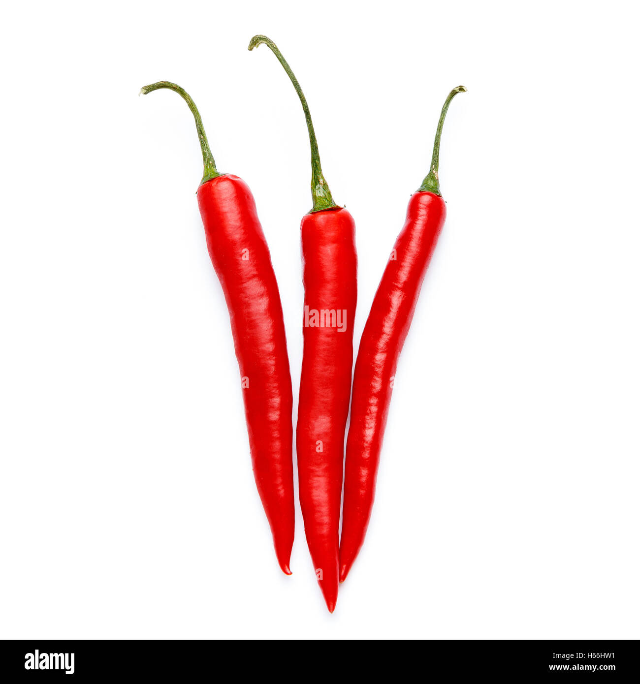 chili pepper isolated Stock Photo - Alamy