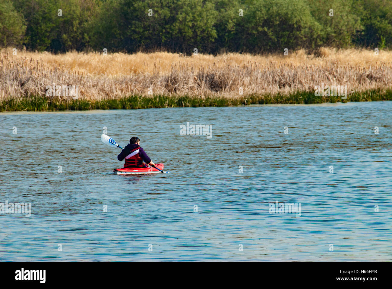 Sturgeon river hi-res stock photography and images - Alamy