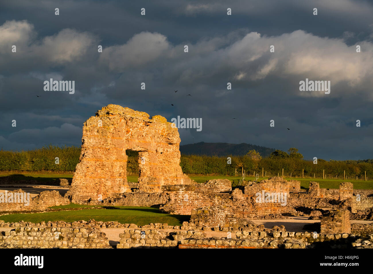 Dramatic autumn light on the remains of the Roman city at Wroxeter (or ...