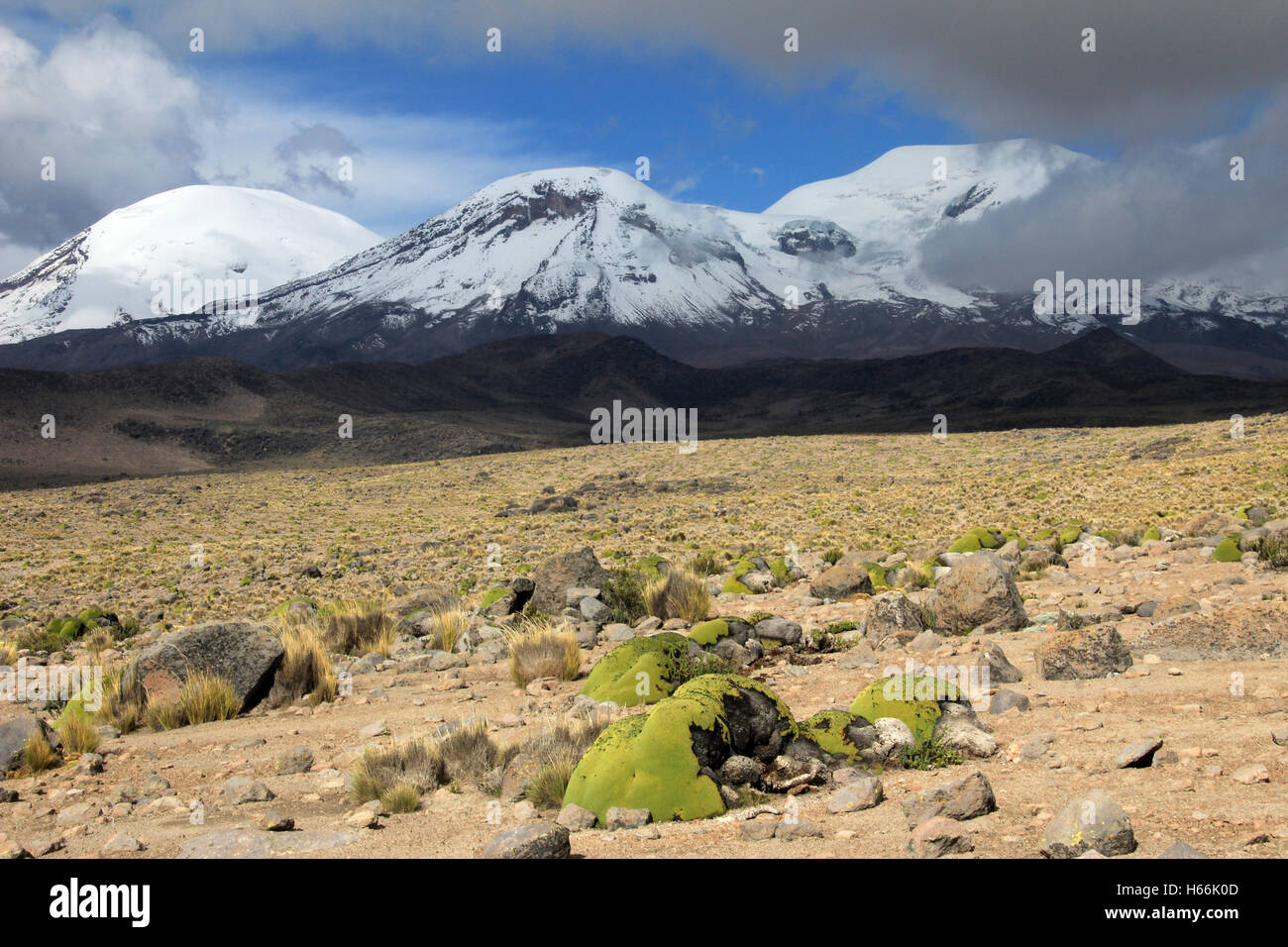 Nevado coropuna hi-res stock photography and images - Alamy