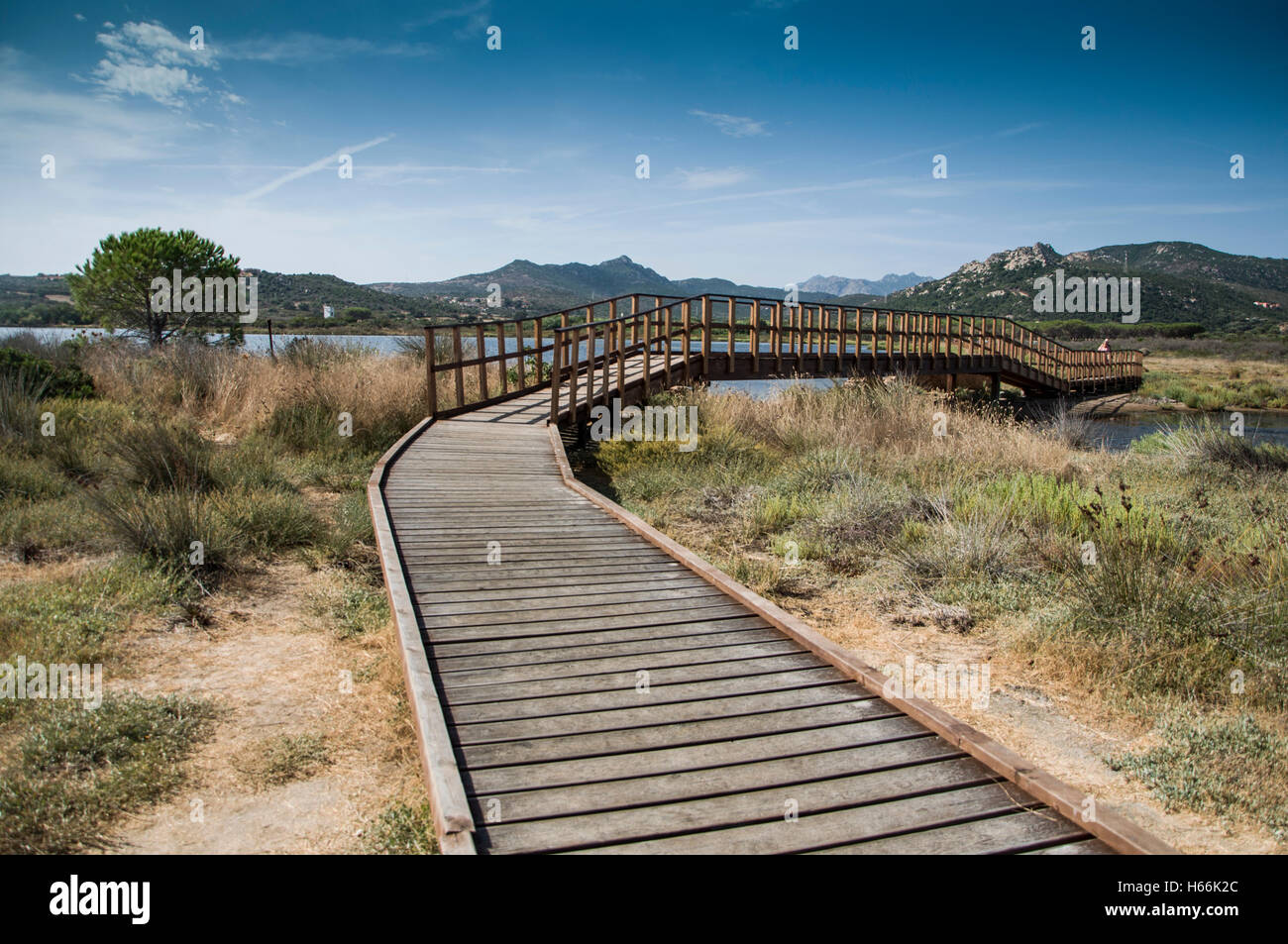 Typical mediterranean walkway with plants hi-res stock photography and ...