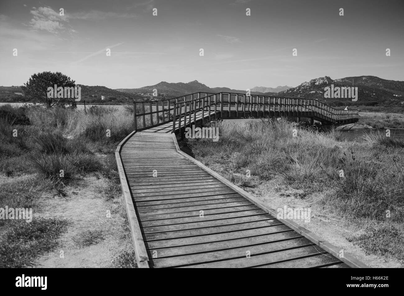 Typical mediterranean walkway with plants hi-res stock photography and ...