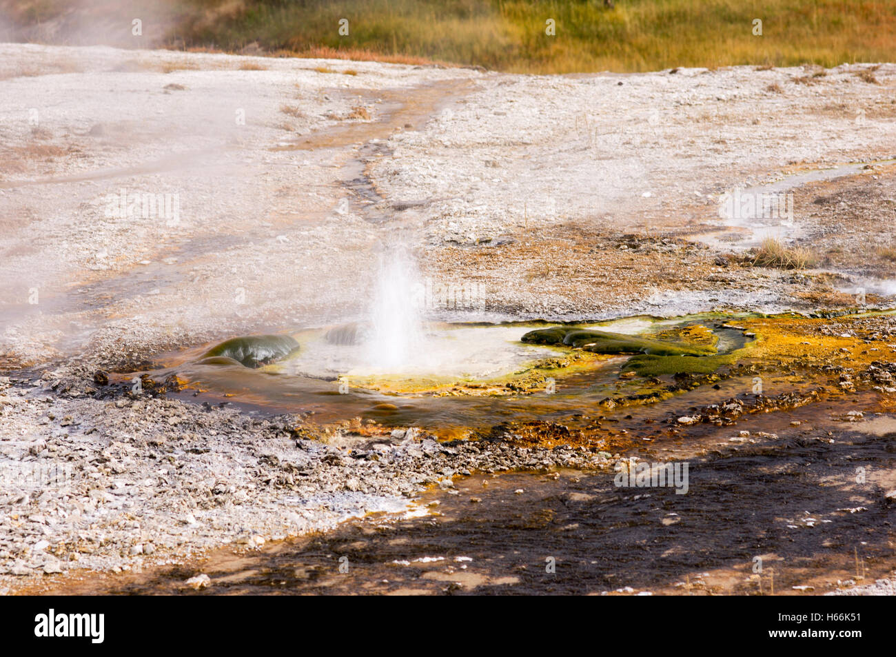 Yellowstone National Park is a national park located primarily in the U ...