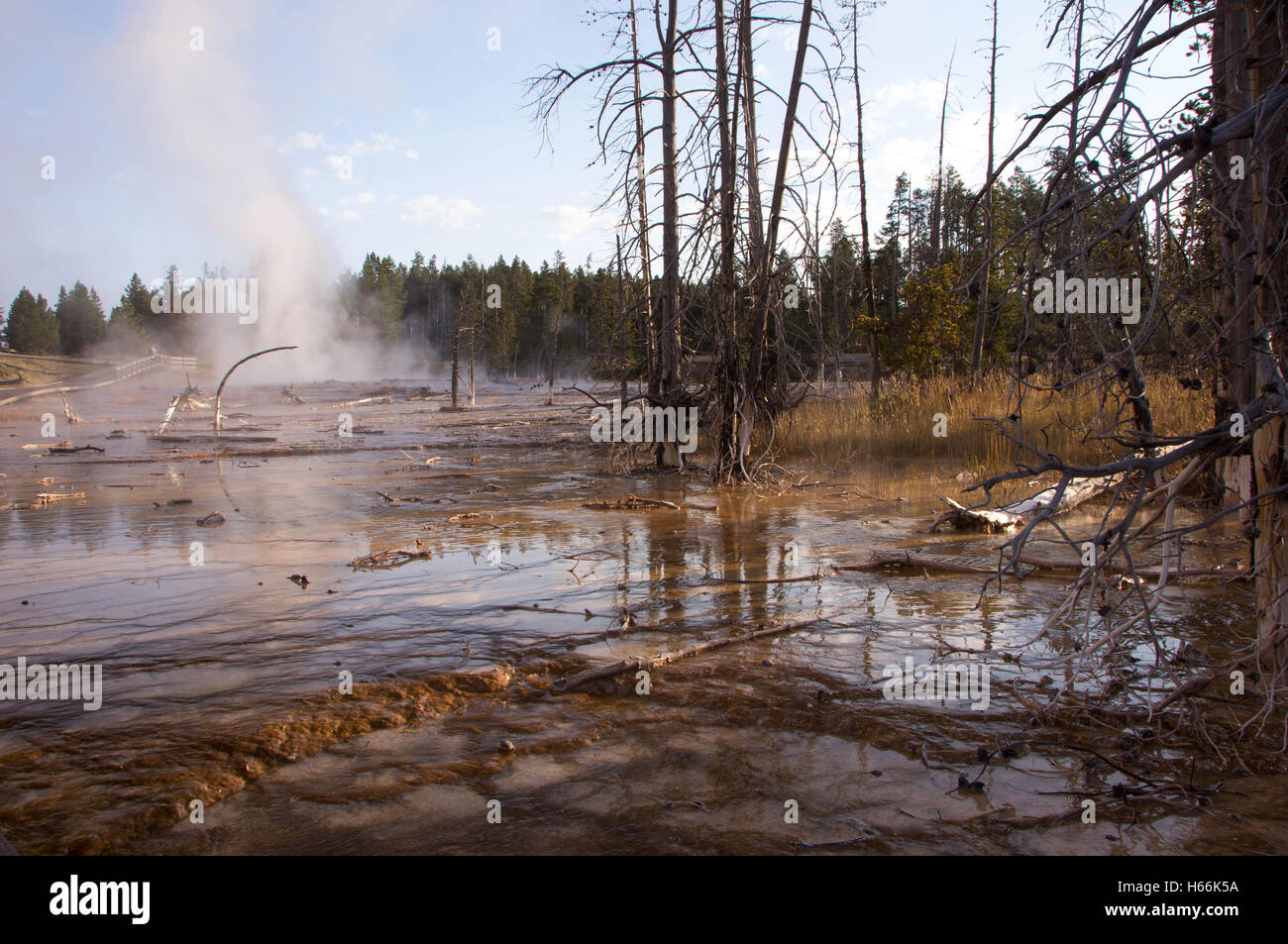 Yellowstone National Park is a national park located primarily in the U ...