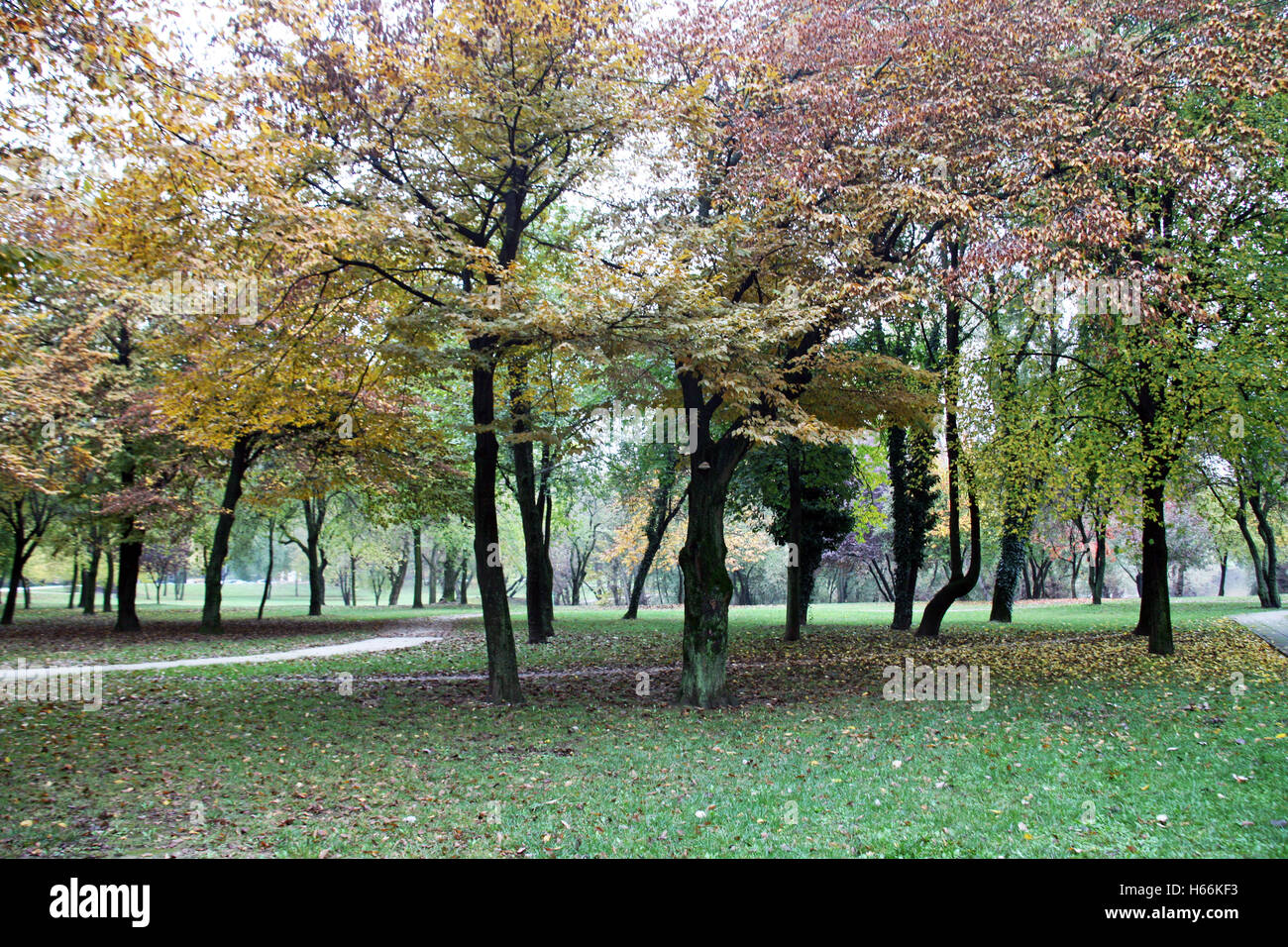 Zagreb's park and lake Bundek by autumn,Croatia,5 Stock Photo - Alamy