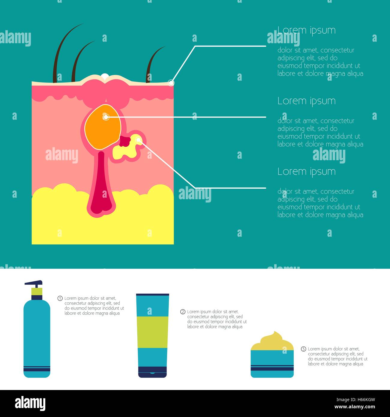 Skin problems Vector illustration Stock Vector Image & Art - Alamy