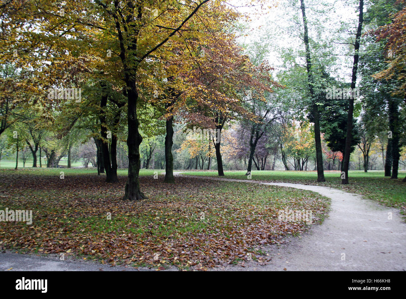 Zagreb's park and lake Bundek by autumn,Croatia,6 Stock Photo - Alamy