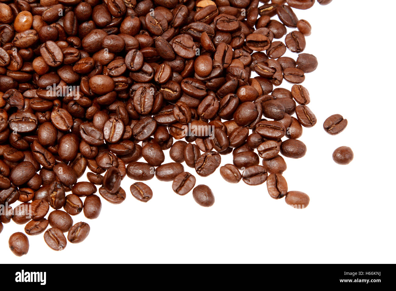 Closeup of coffee beans on plain background Stock Photo - Alamy