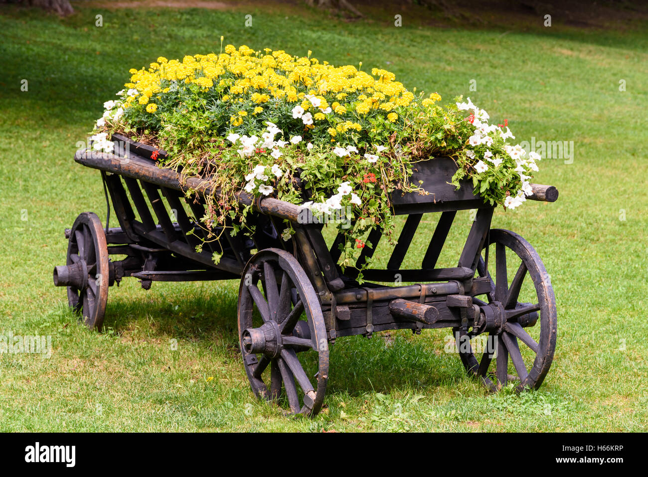 Flower wagon hi-res stock photography and images - Alamy