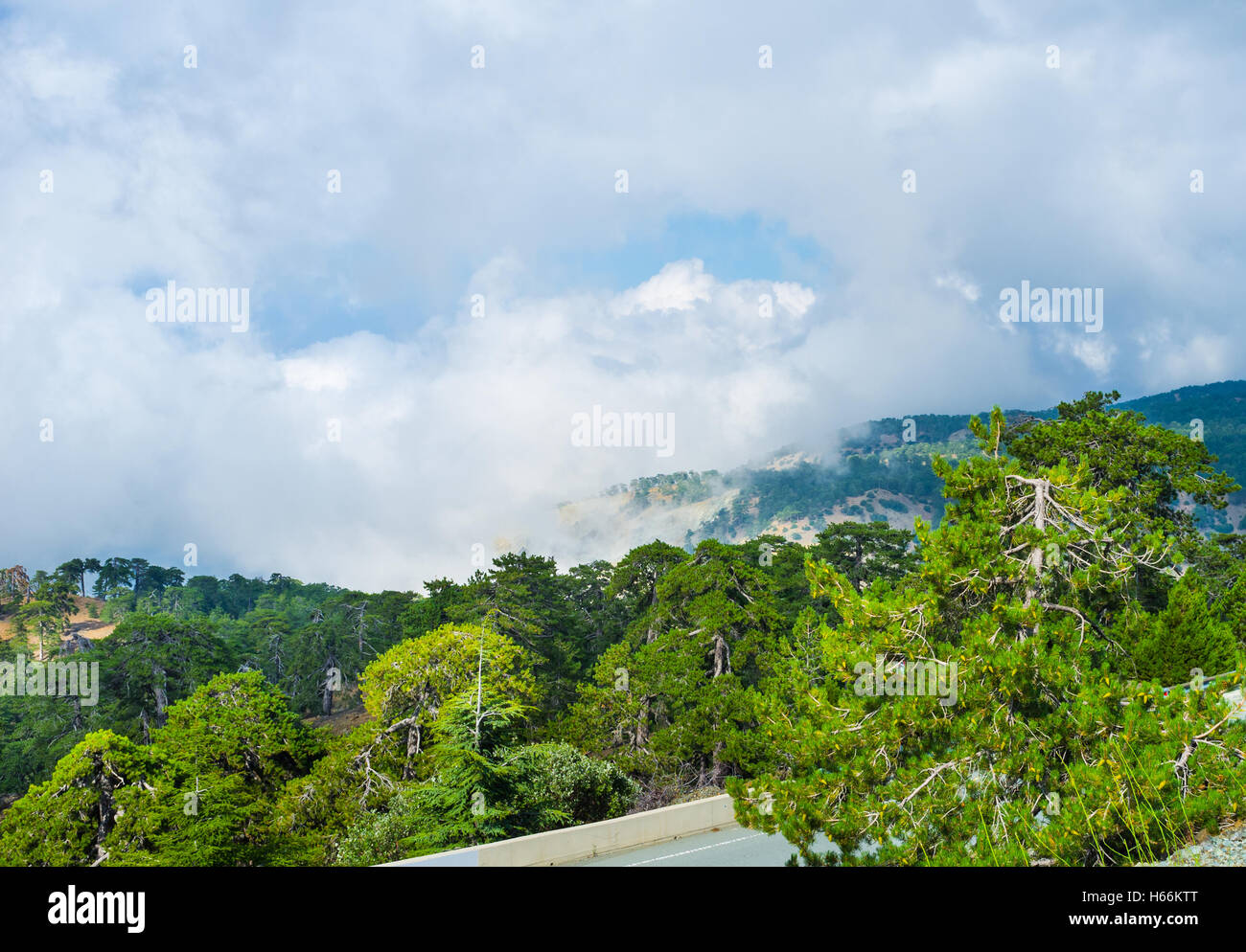The white fluffy clouds descend on top of the mountain Olympus, Cyprus ...