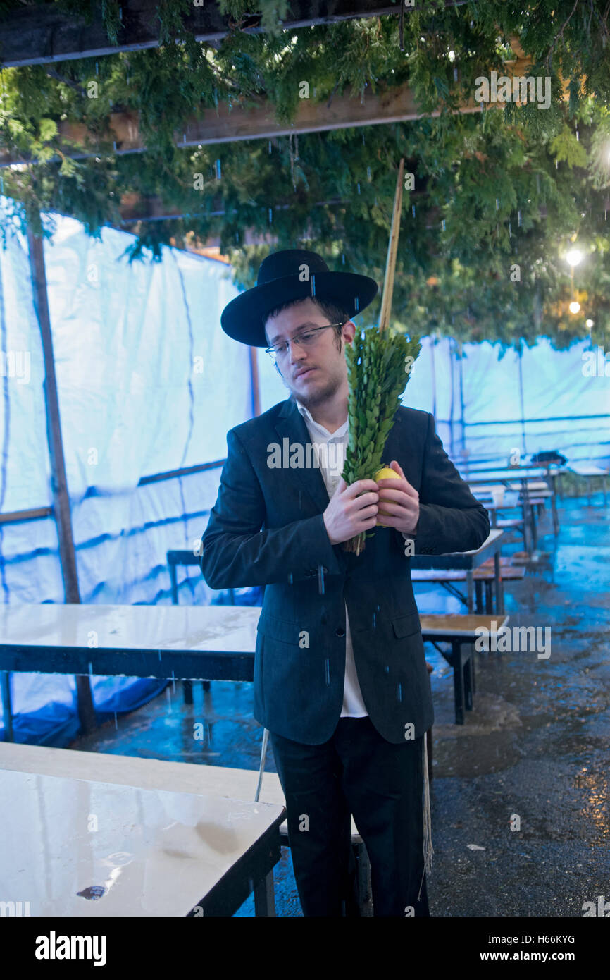 Lulav and etrog hi-res stock photography and images - Alamy