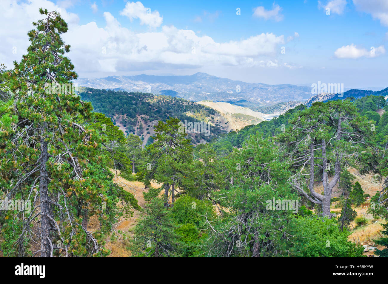 The view from the Troodos Square on the large National Forest Park ...